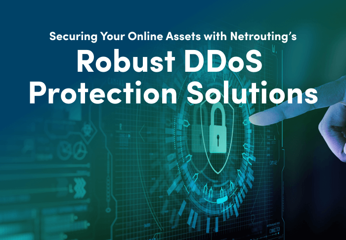 Securing Your Online Assets with Netrouting's Robust DDoS Protection ...